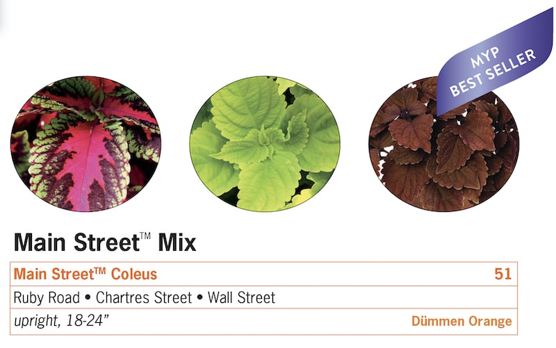 Germania Seed Company - ph: 800-380-4721