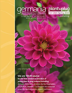 Germania Seed Company - ph: 800-380-4721